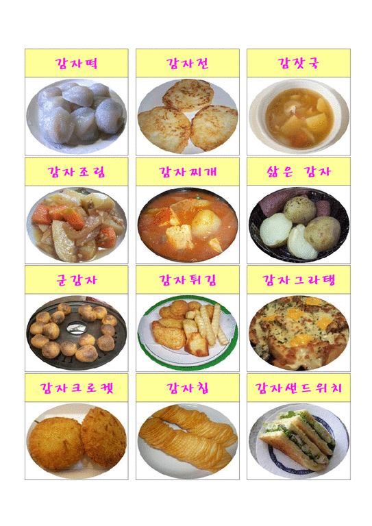 감자프로젝트 교육계획안 주제선정의이유 주요개념 주제망 창의활동지 음식 채소프로젝트 텃밭 가지과채소 덩이줄기 감자꽃 레포트샵