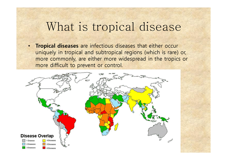About tropical disease - 의약학