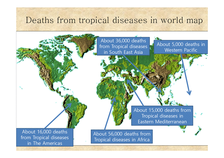 About tropical disease - 의약학