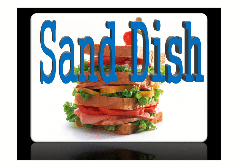 사업계획서 Sand Dish 기업소개 경쟁사 분석 - 사회과학