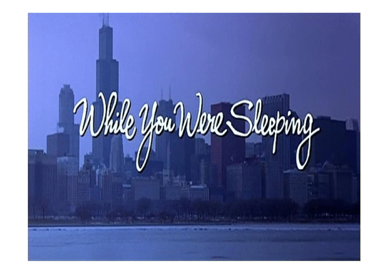 실무영어-당신이 잠든 사이에 while you were sleeping - 인문/교육