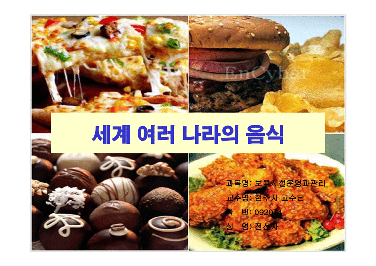 세계 여러나라의 음식 유아교육자료 인문교육