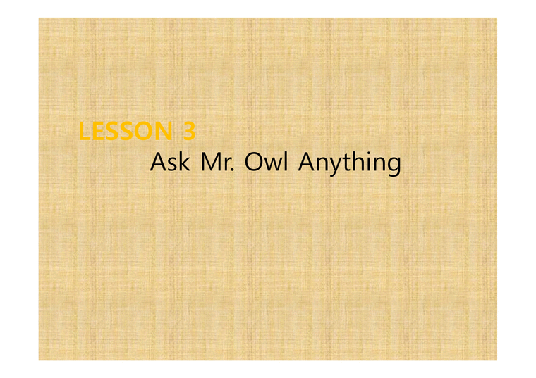 LESSON 3영어실습 Ask Mr Owl Anything - 인문/교육
