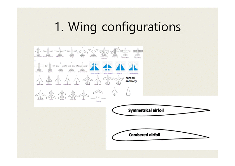 Wings(configuration &structure) Wing spars Wing ribs - 항공 - 인문/교육