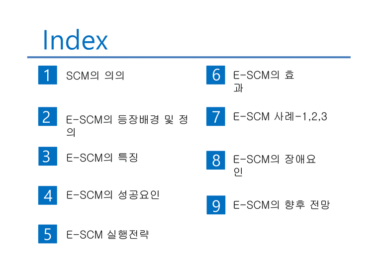 SCM의 의의 E-SCM의 특징 E-SCM의 성공요인 E-SCM 실행전략 E-SCM의 향후 전망 SCM의 중요성 수직적 가치사슬 ...