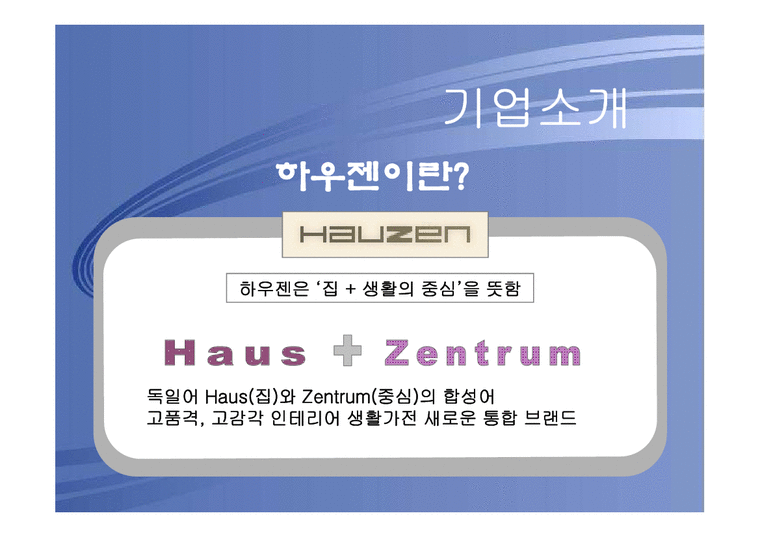 마케팅 통합브랜드 HAUZEN 하우젠 마케팅전략 - 경제경영