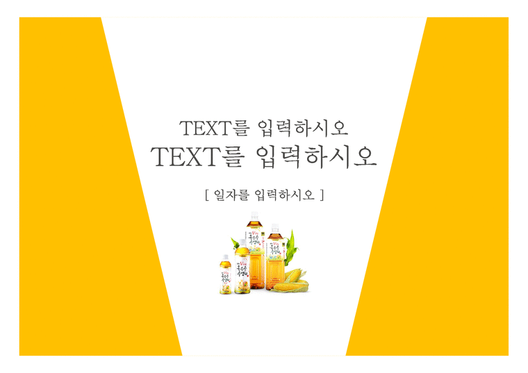 BTL 매뉴얼 템플릿 - 팬미팅 행사 (A4 비율 10p) - PPT 일반