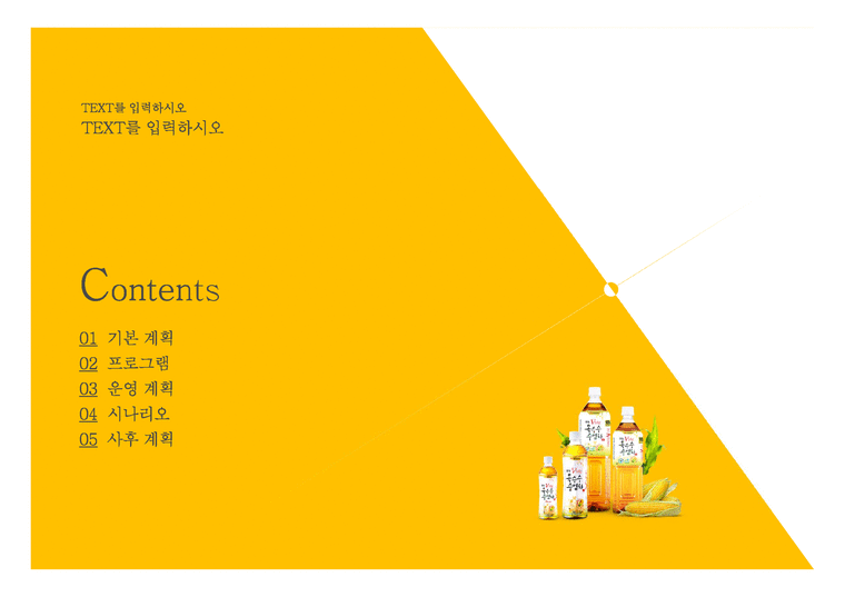 BTL 매뉴얼 템플릿 - 팬미팅 행사 (A4 비율 10p) - PPT 일반