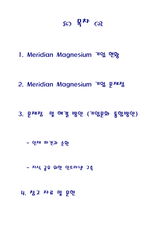 국제경영 Meridian Magnesium - 경제경영