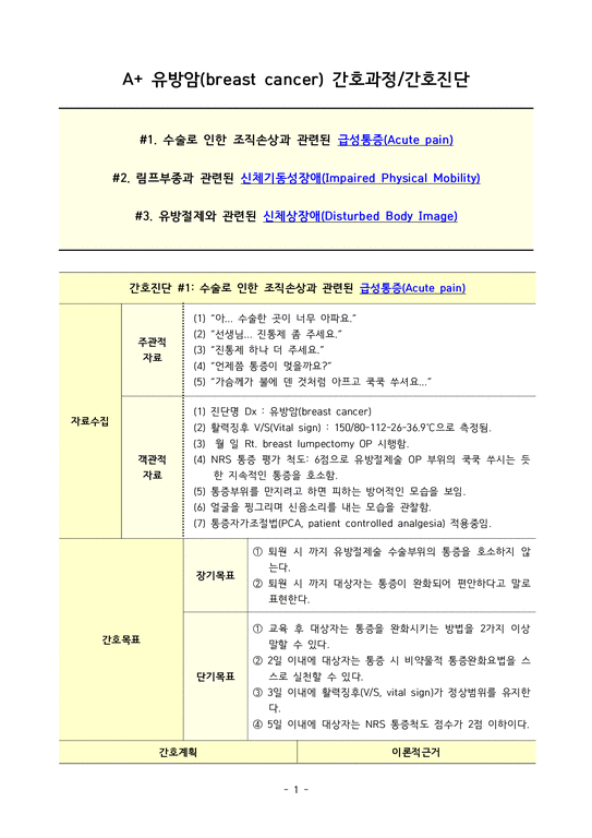 A+ 유방암/간호과정/간호진단 - 의약학