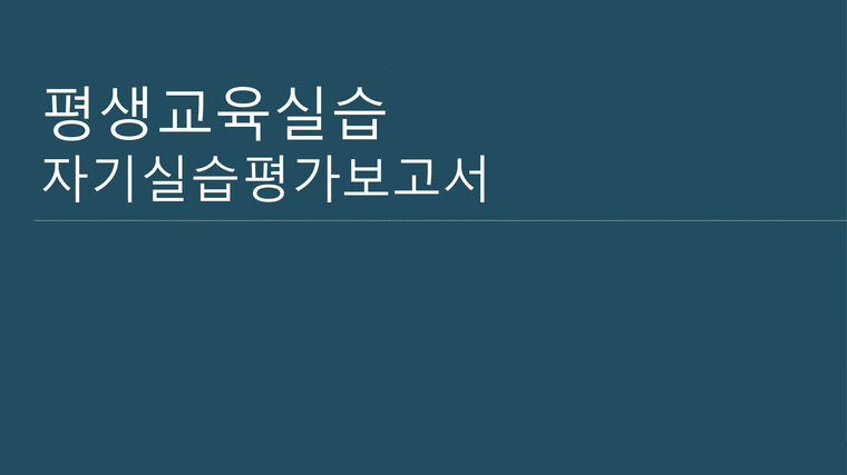 평생교육실습_자기실습평가보고서 - 기타