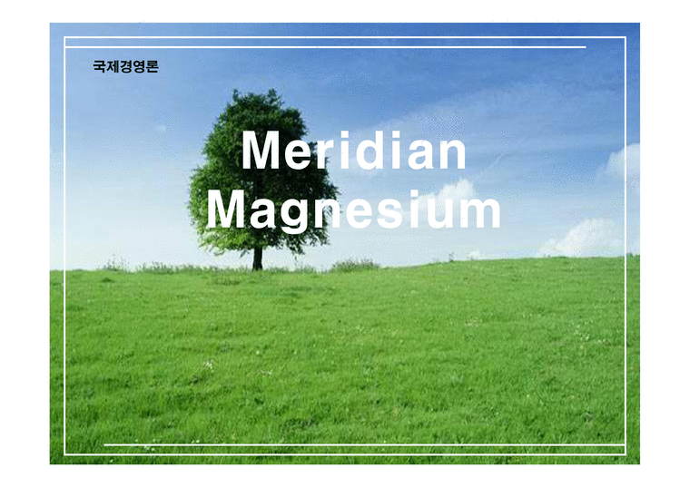 국제경영 머리디안 마그네슘(Meridian Magnesium) 사례 게임 - 경제경영
