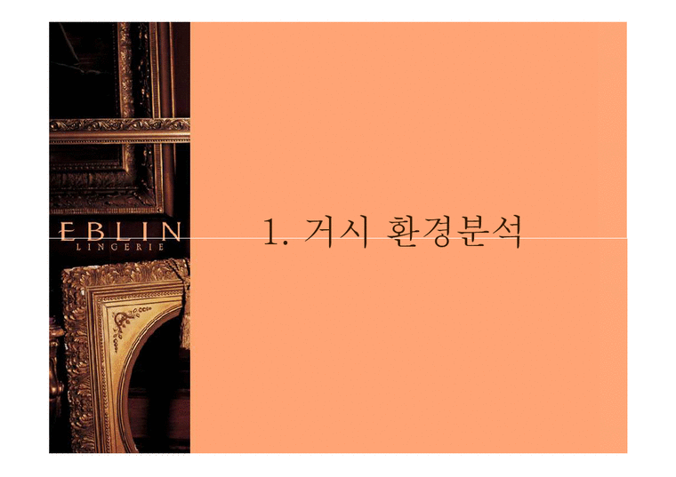 마케팅 에블린 EBLIN 마케팅 - 경제경영