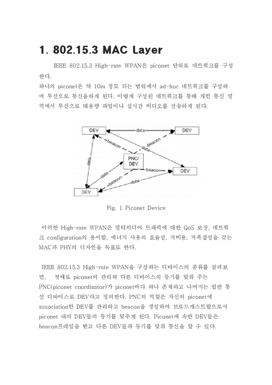 UWB MAC(Ultra Wide Band) - 자연/공학