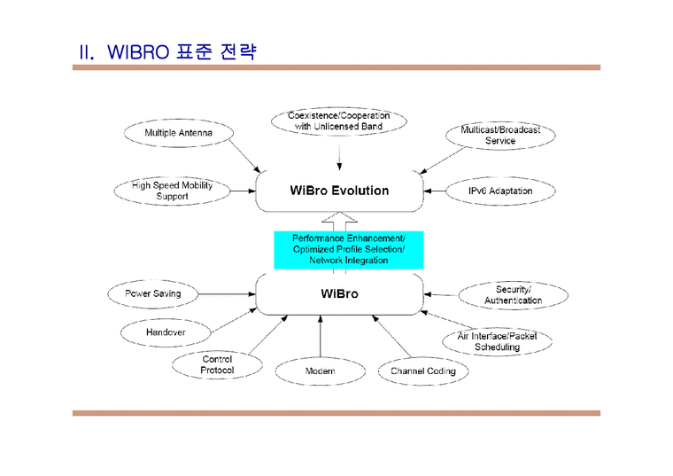 와이브로 wibro 기술의 모든것 - 자연/공학