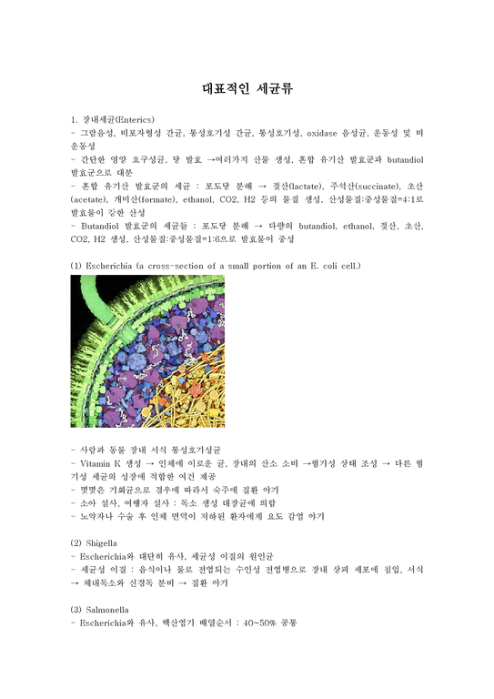세균(박테리아) - 광합성 세균류 질소고정 박테리아 무기영양세균(Lithotrophs) 메탄 산화 박테리아 Methanogens ...