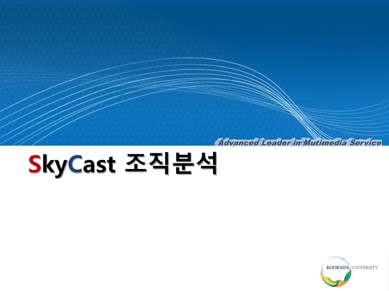 SkyCast 조직분석 - 경제경영