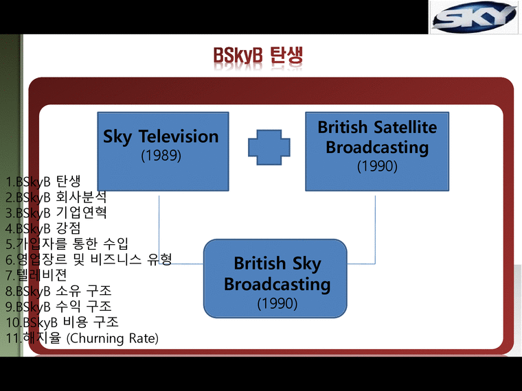 BSkyB(British Sky Broadcasting) 분석 - 경제경영