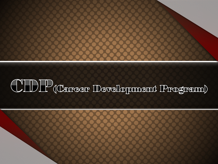 인적자원관리 CDP(Career Development Program) - 경제경영