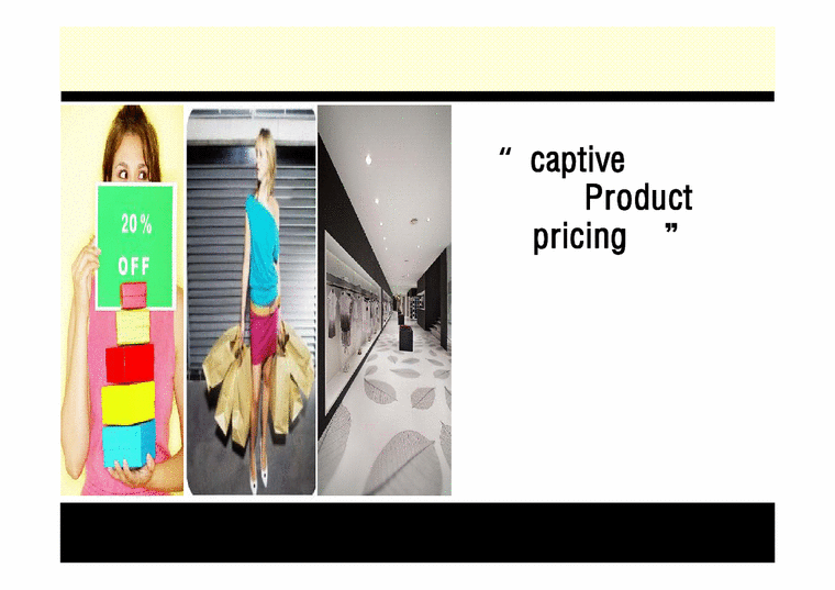 마케팅 캡티브 프로덕트 전략(Captive product pricing) 전용 부속품 가격 책정 사례 - 경제경영