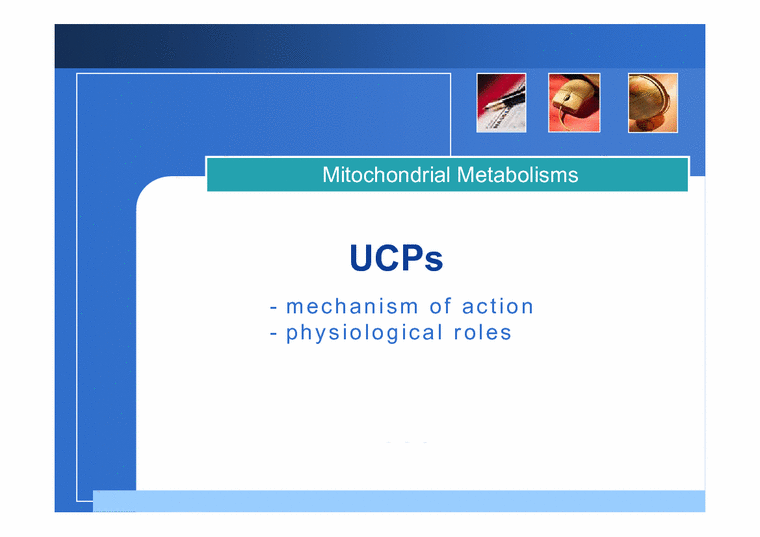 생물학 UCPs에 관한 분석 - 자연/공학