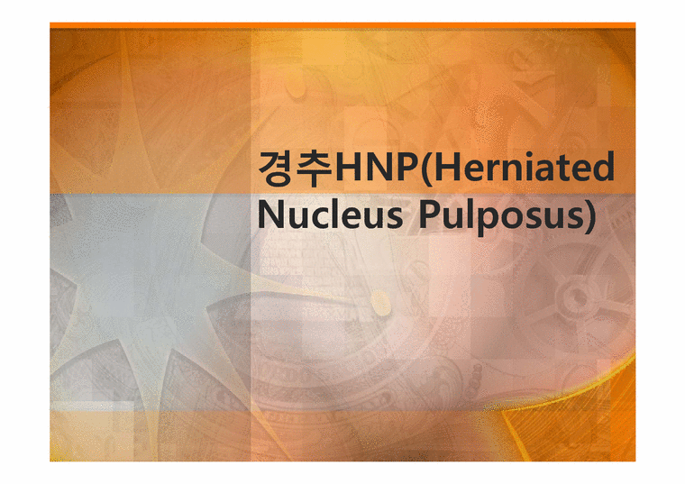 물리치료학 경추HNP(Herniated Nucleus Pulposus) 분석 - 의약학