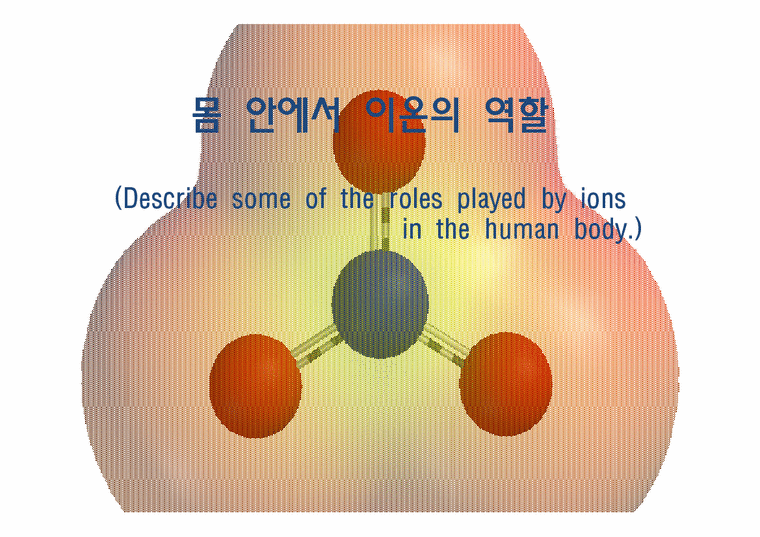 생명과학의이해 Describe some of roles played by ions in the human body(인체 내에서의 ...