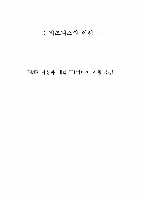 e-비지니스의이해 : DMB 사용후기 - 기타
