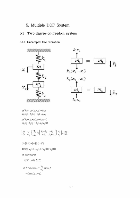 Multiple DOF System 레포트 - 자연/공학