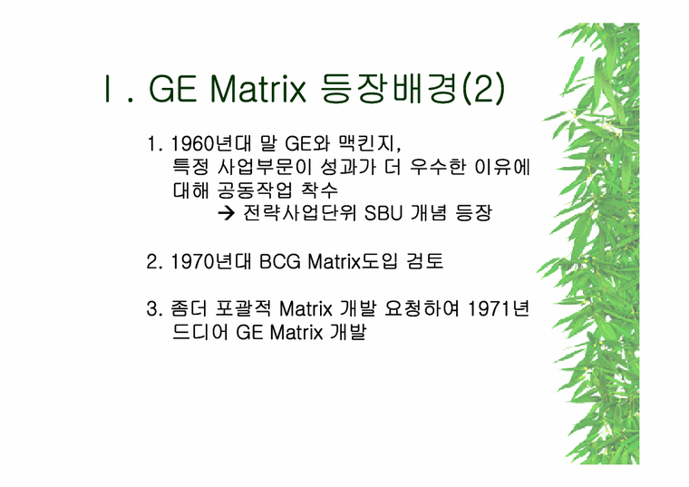 GE Business Screen Matrix - 경제경영