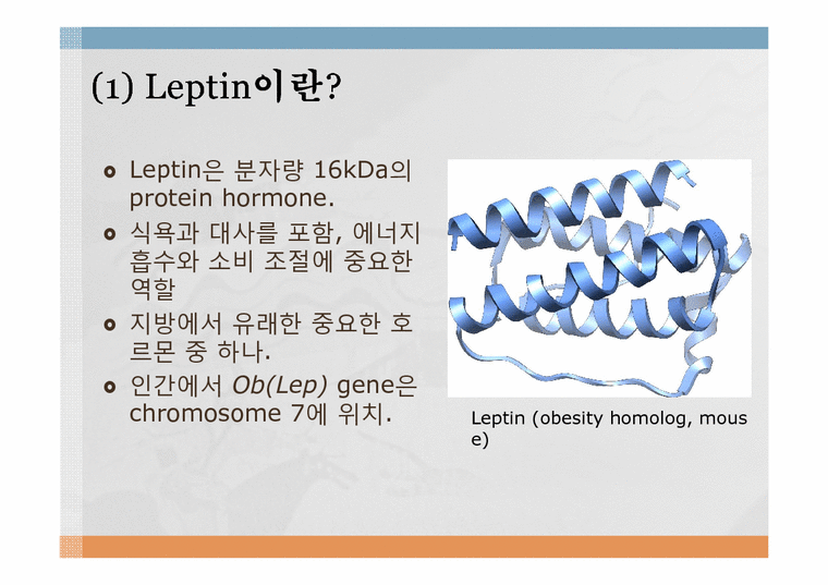 대사조절학 Leptin - 의약학