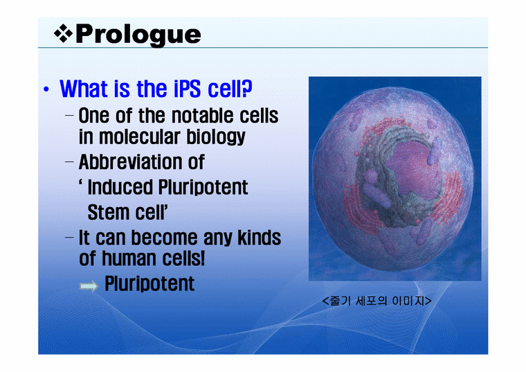 응용분자생물학 유도만능줄기세포(iSP cell) 설계 - 자연/공학