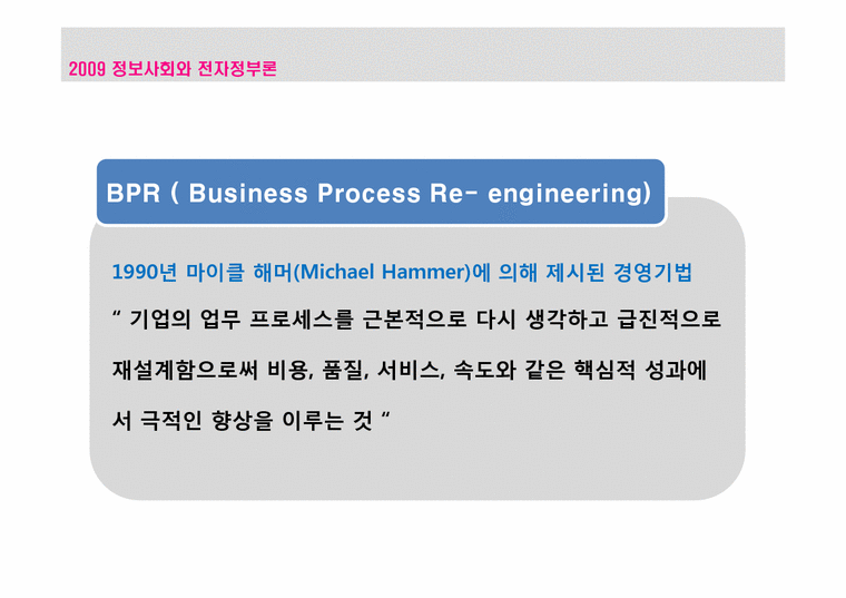 전자정부론 행정개혁 BPR ISP - 사회과학