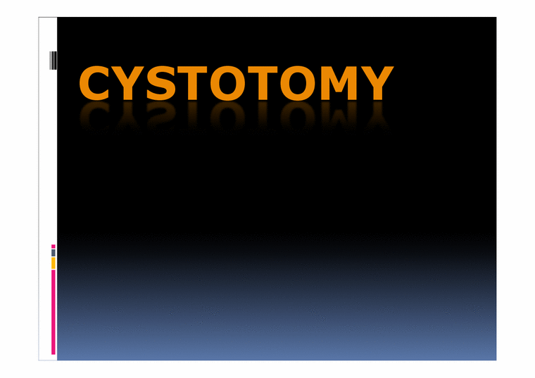 의학 Cystotomy(방광절개술) - 의약학