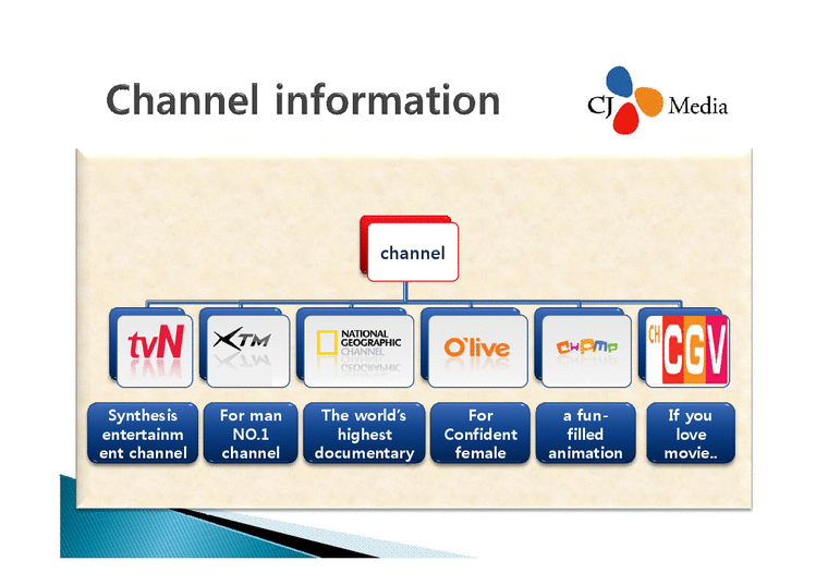 CJ 미디어 media 기업분석(영문) - 경제경영