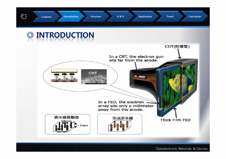 Fed(field emission display) - 자연/공학