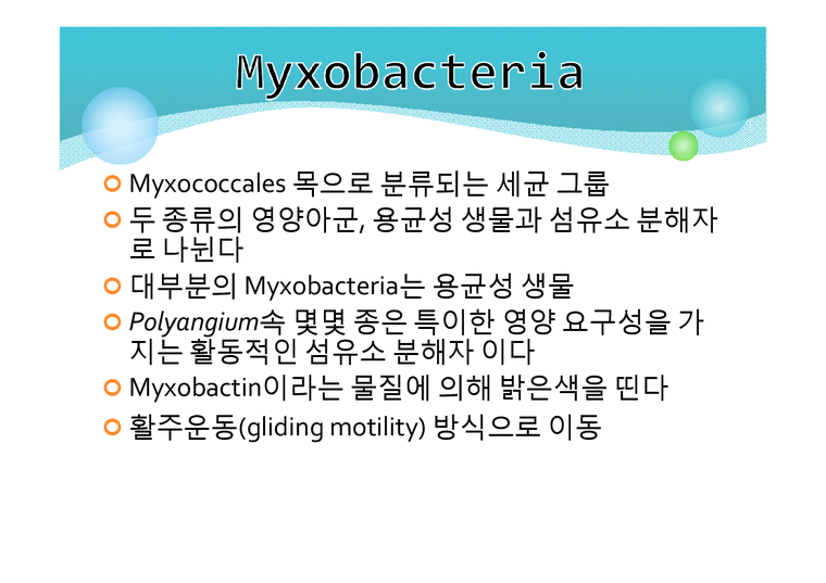 Myxobacteria와 Dictyostelium 에 대해서 - 자연/공학