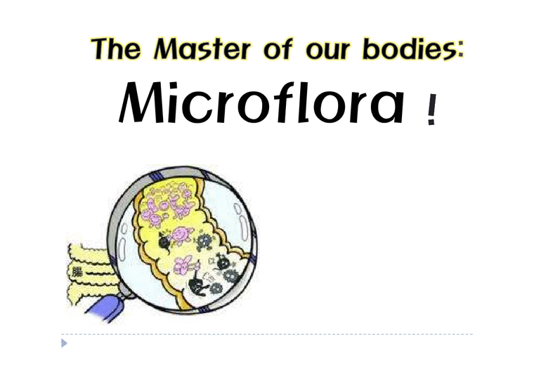 유가공학 마이크로플로러(Microflora)(미생물상)의 효능(영문) - 자연/공학