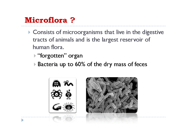 유가공학 마이크로플로러(Microflora)(미생물상)의 효능(영문) - 자연/공학