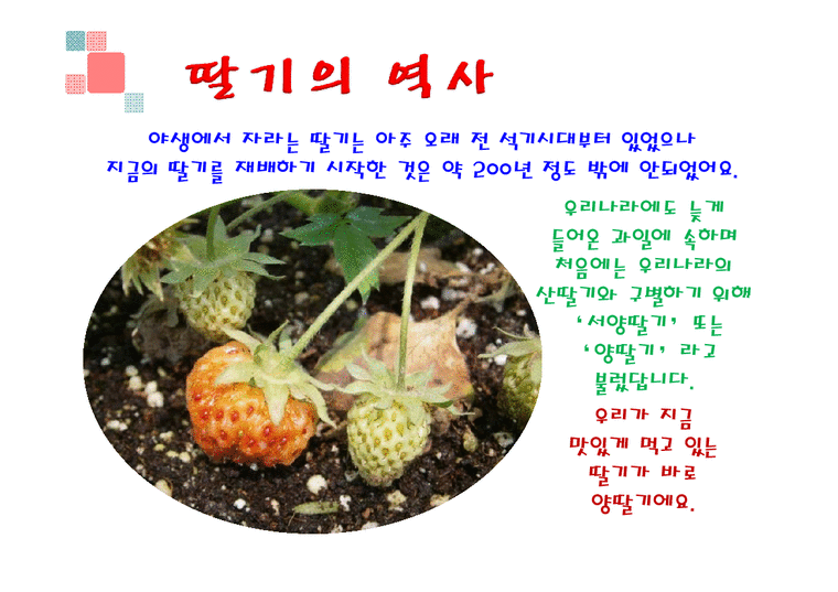딸기가 좋아음성녹음 이야기나누기 상호작용 딸기프로젝트 딸기의 역사 딸기가 되는 과정 딸기로 만든 음식 Ppt 딸기꽃 딸기잎 인문교육