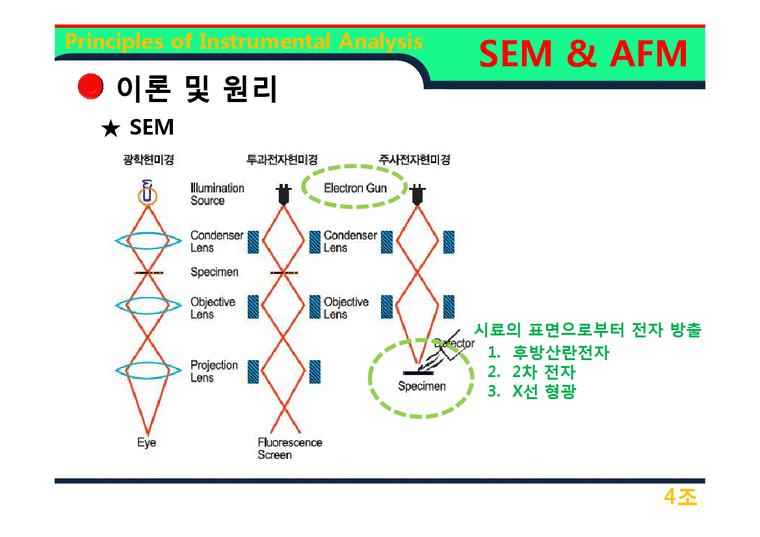 기기분석 SEM & AFM - 자연/공학