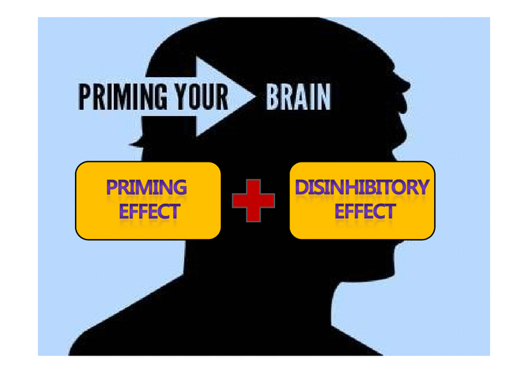 Priming Effects & Disinhibitory Effects(영문) - 기타