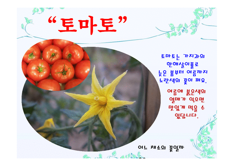 텃밭에 꽃이 피었어요 채소꽃음성녹음 이야기나누기 상호작용 음성해설 텃밭프로젝트 채소프로젝트 꽃프로젝트 식물프로젝트 Ppt 인문교육