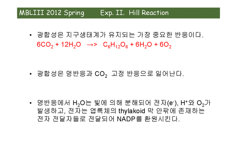 Exp. II. Hill Reaction - 자연/공학