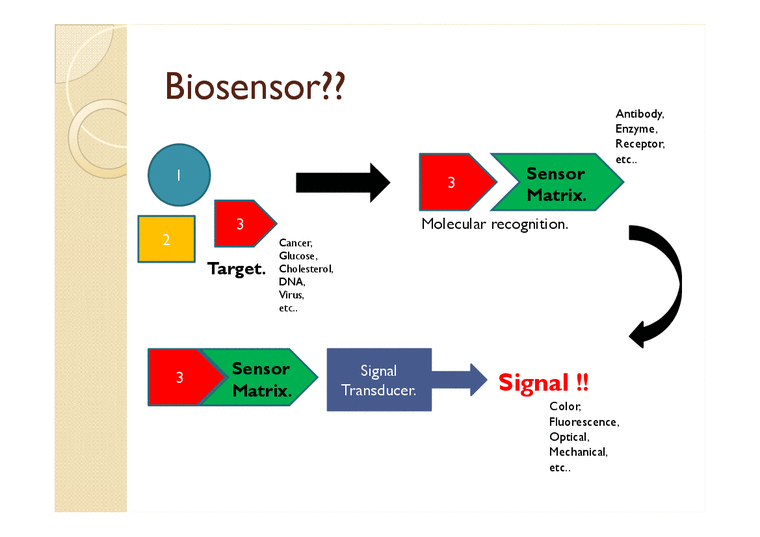 나노 바이오센서(Nano Biosensor) 동향 및 전망 - 자연/공학