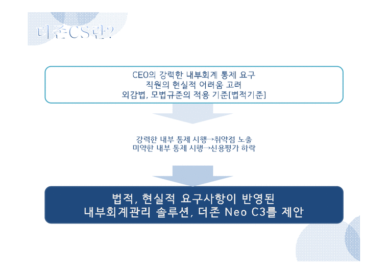 e비즈니스 내부회계시스템(더존 NEO C3) - 경제경영
