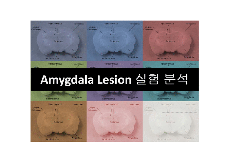Amygdala Lesion 실험 분석 - 자연/공학