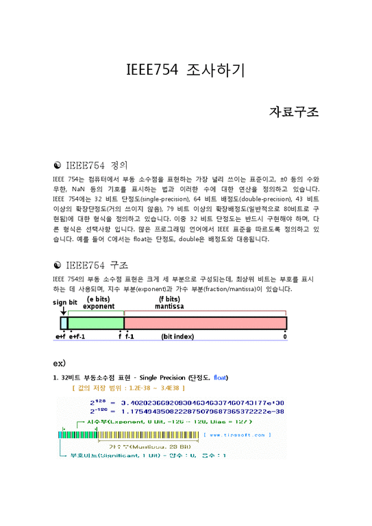 컴퓨터 자료구조 - IEEE754 조사하기 - 자연/공학