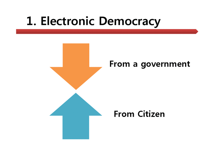 전자민주주의(Electronic Democracy)사례 연구(영문) - 사회과학