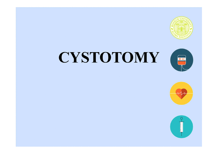 의약 CYSTOTOMY 방광절개술 - 의약학